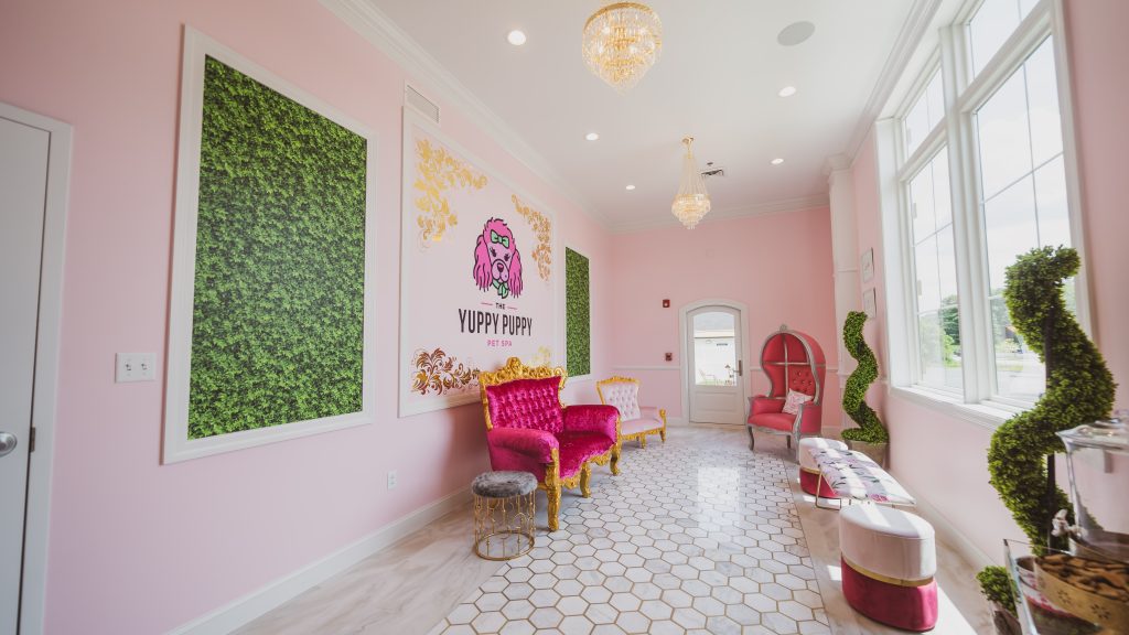 Yuppy Puppy Pet Spa | Architectural Design | Oculus Inc.