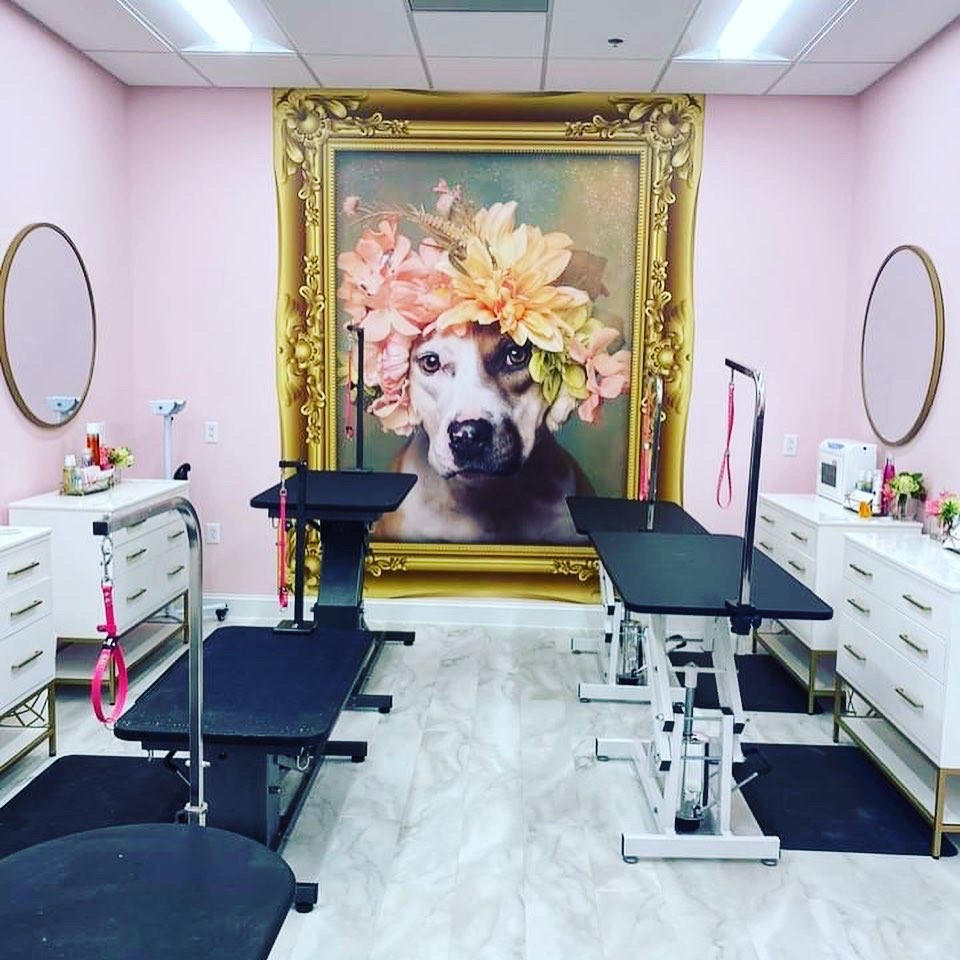 Yuppy Puppy Pet Spa | Architectural Design | Oculus Inc.