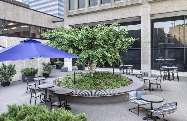 Pierre Laclede Buildings I & II Workplace Renovations | Oculus Inc.