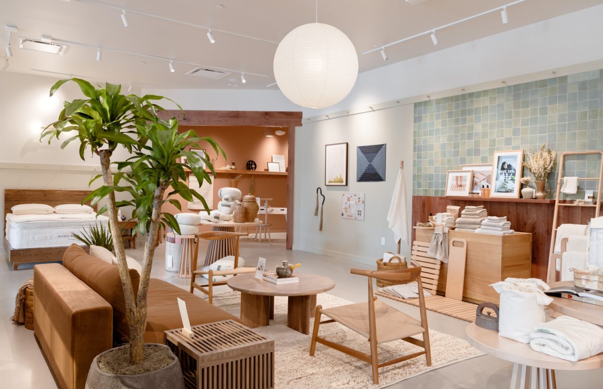 Avocado Retail Stores | Oculus Inc. Architectural Design