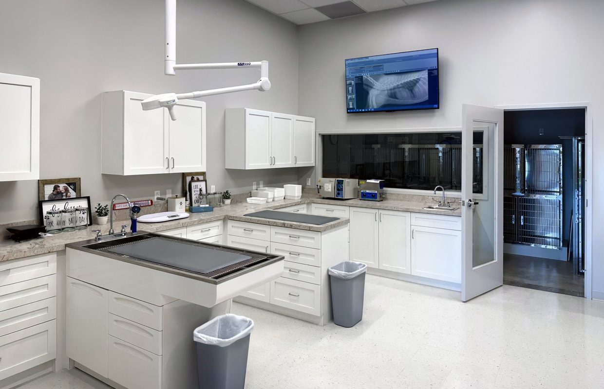 Projects | Oculus Inc.