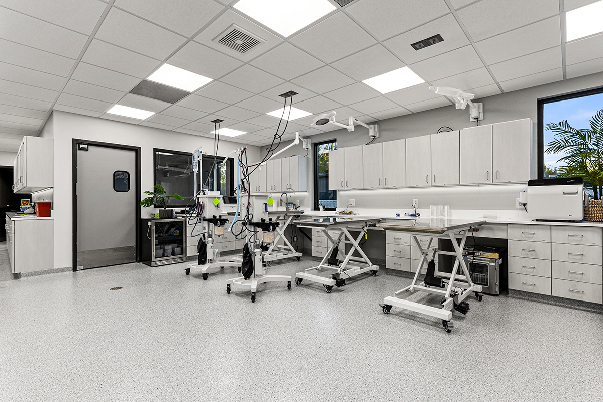 Gateway Veterinary Surgery Center designed by Oculus Inc.